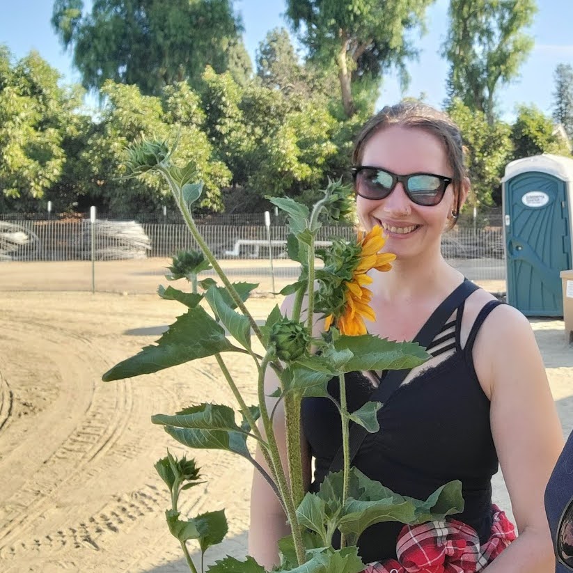 Our Team | RAD Websites